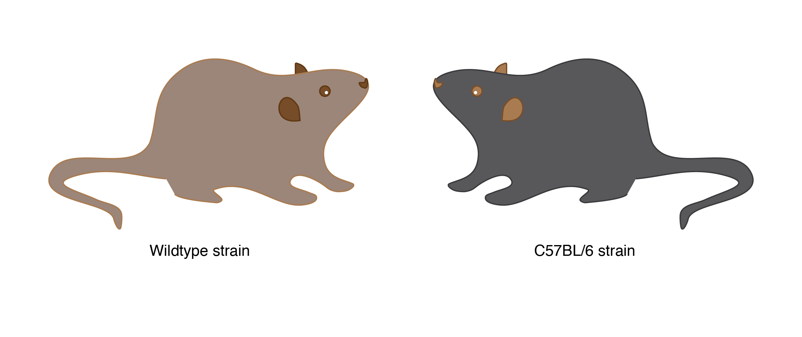 Nature versus nurture: comparing the immune systems of wild and lab ...